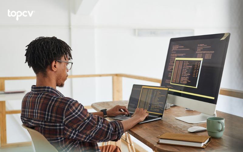 Fresher là gì? Khám phá điểm khác biệt giữa Fresher, Junior và Intern