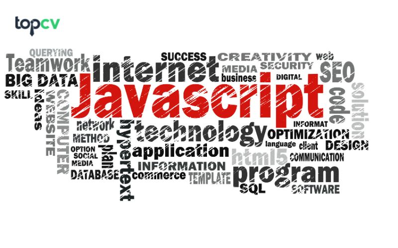 Fresher là gì? Khám phá điểm khác biệt giữa Fresher, Junior và Intern