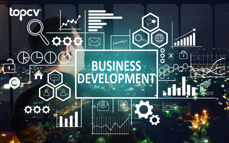 Business Development Executive và những điều bạn quan tâm với việc làm này