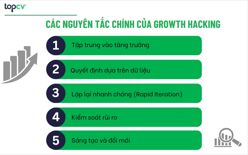 Growth hacker là gì? Những kỹ năng cần có của một Growth hacker