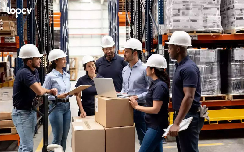 Nên học ngành Logistics hay Thương mại điện tử để dễ xin việc?