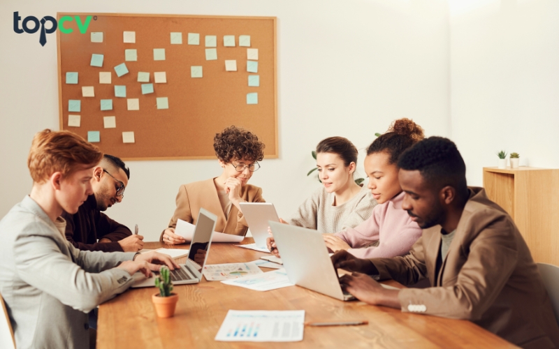 Management Trainee là gì? Khám phá chương trình Management Trainee