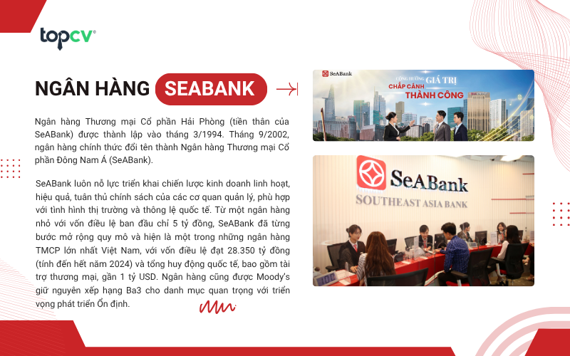 Ngân hàng SeABank tuyển dụng những vị trí nào? Cơ hội việc làm ra sao?