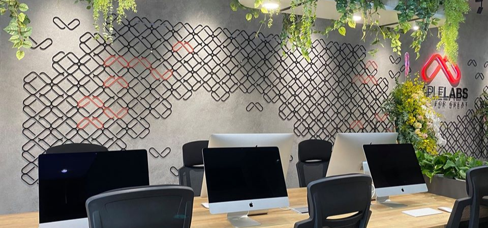 CÔNG TY TNHH MAPLE LABS