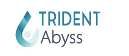 Công ty cổ phần Trident Abyss