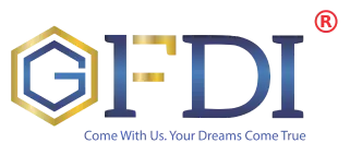 CÔNG TY TNHH MTV TƯ VẤN ĐẦU TƯ GFDI