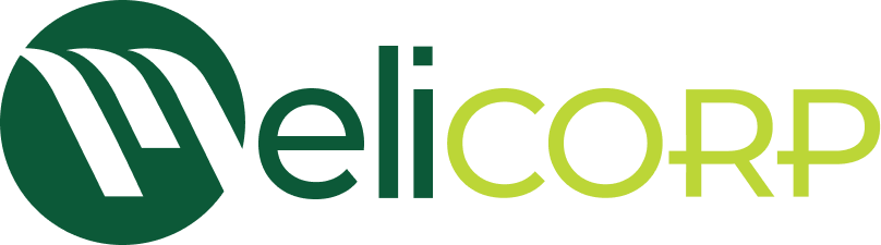 Công ty Cổ Phần Meli