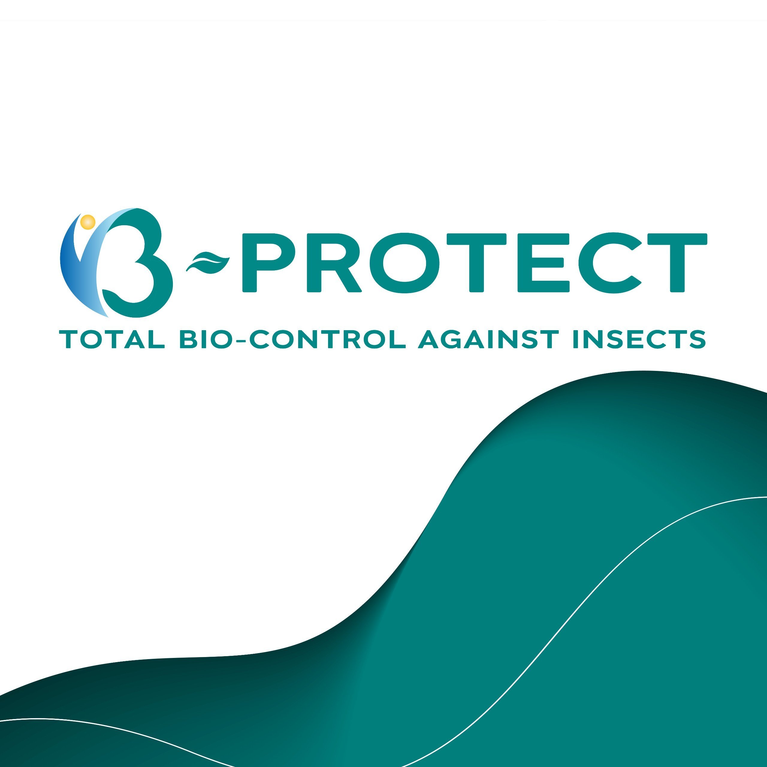 CÔNG TY TNHH B - PROTECT VIỆT NAM