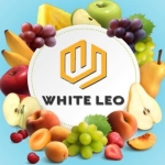 CÔNG TY TNHH XUẤT NHẬP KHẨU WHITE LEO