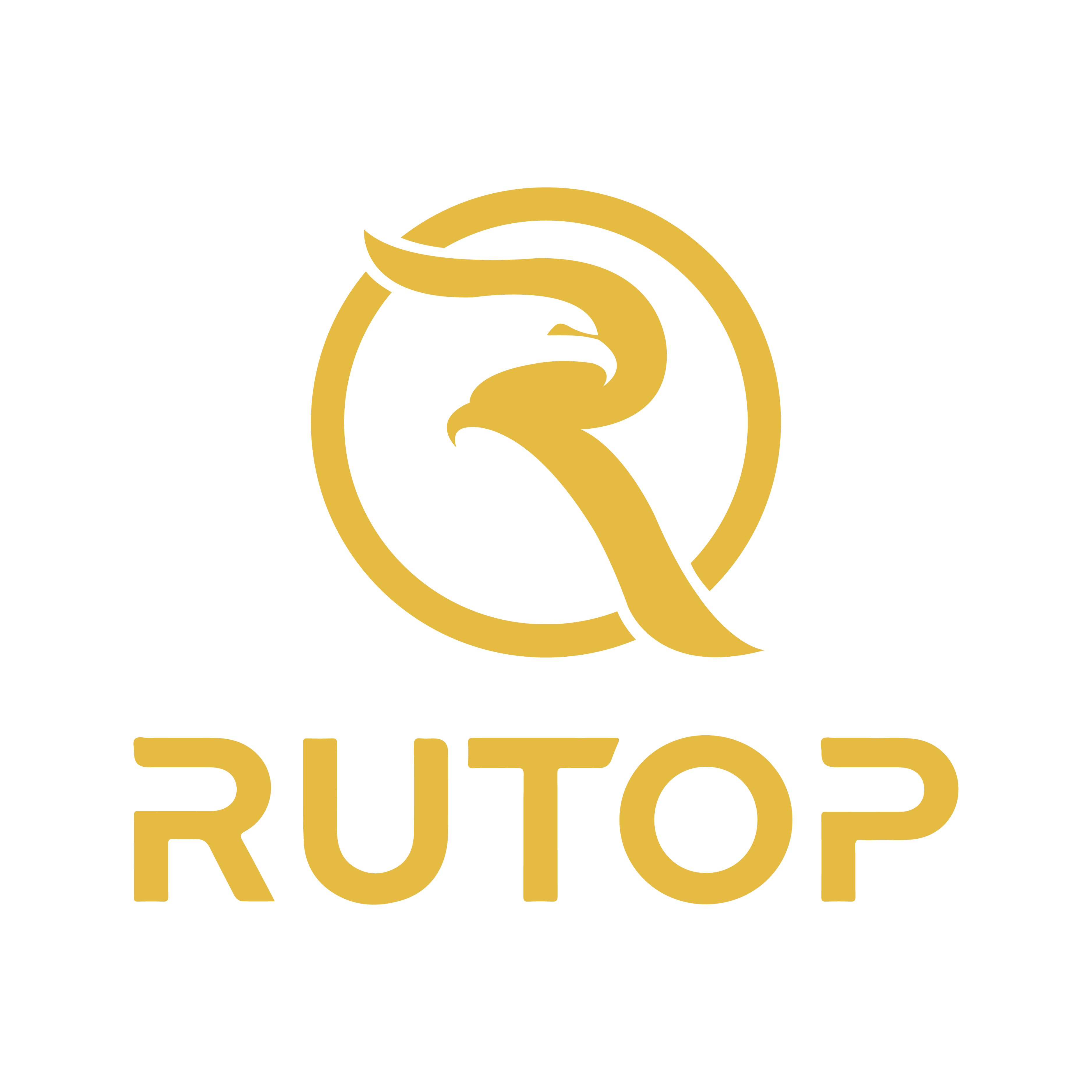 CÔNG TY TNHH XUẤT NHẬP KHẨU RUTOP VIỆT NAM - TOPCV