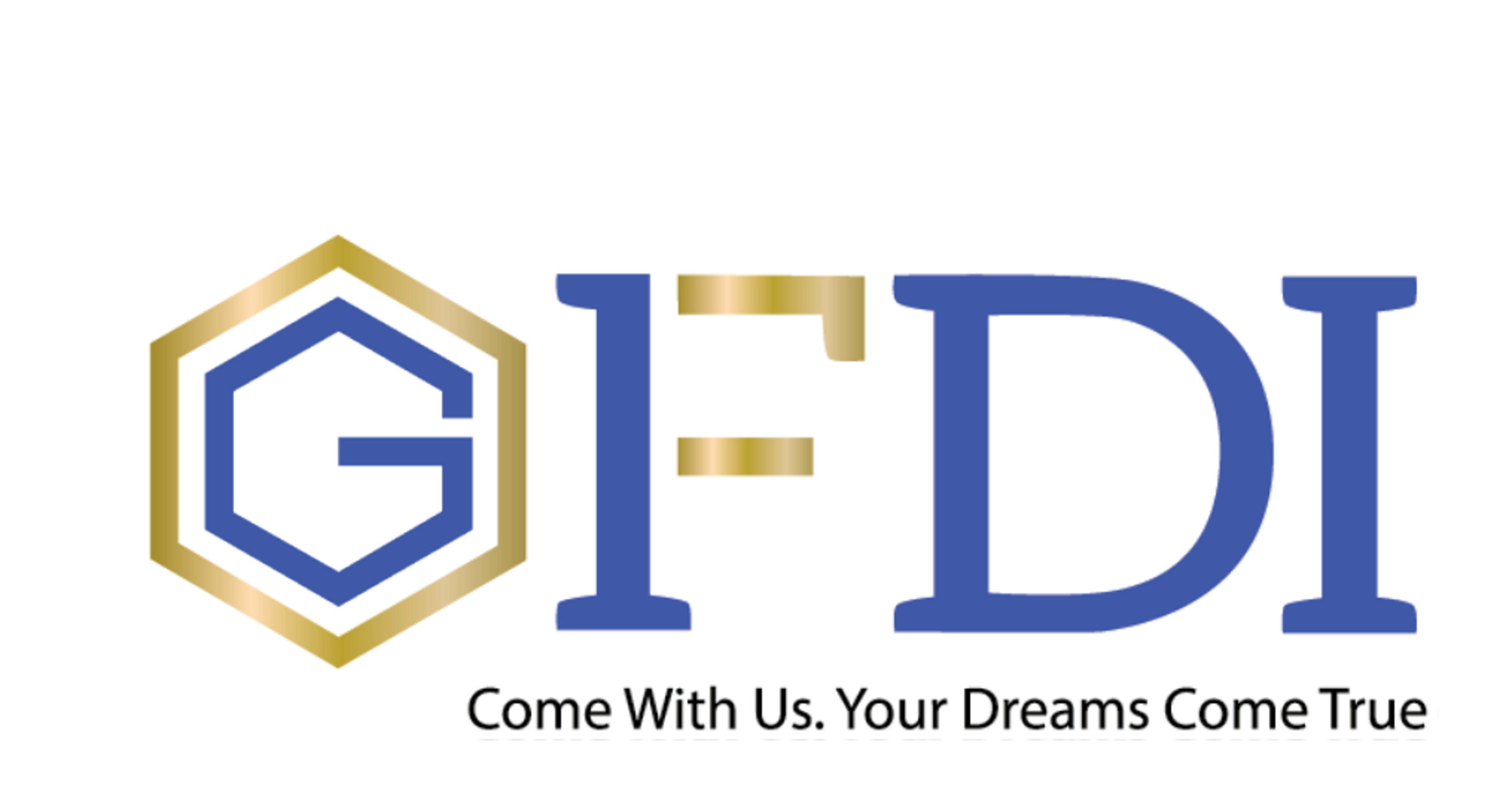 CÔNG TY TNHH MTV TƯ VẤN ĐẦU TƯ GFDI