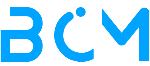 CHI NHÁNH CÔNG TY TNHH BCM VENTURE INTEGRATED