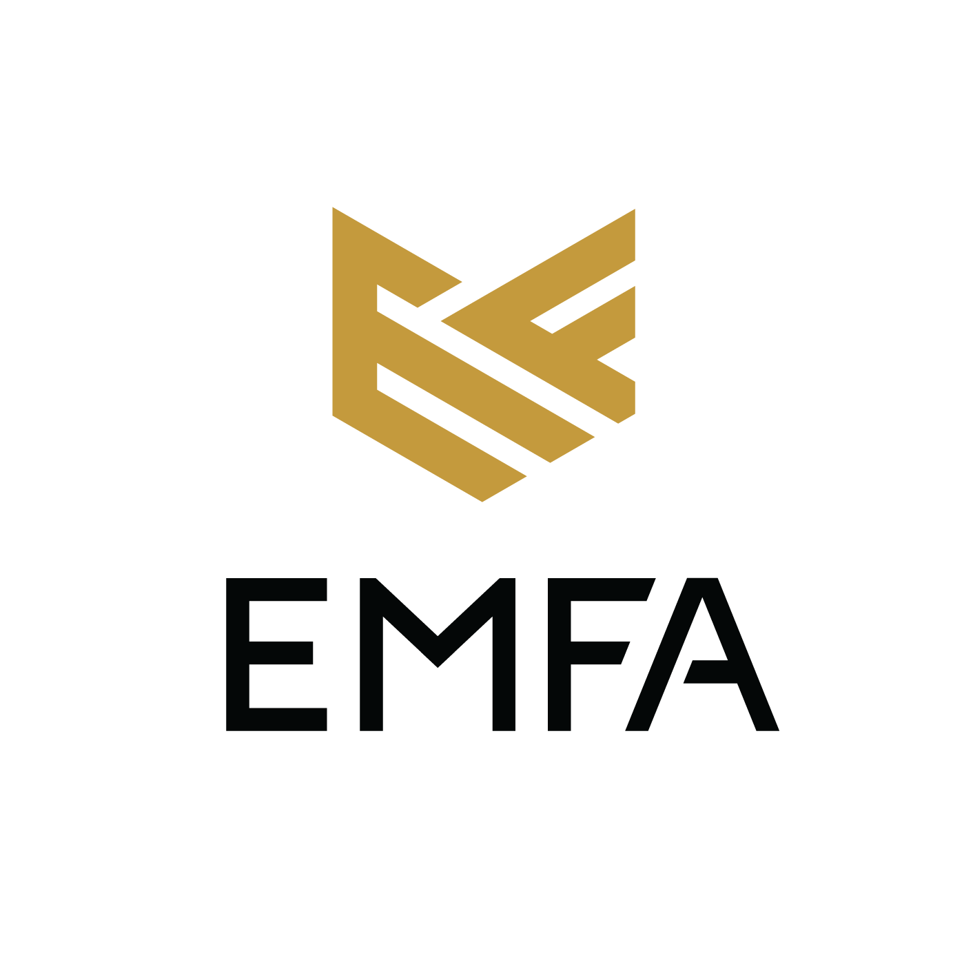 CÔNG TY CỔ PHẦN EMFA VIỆT NAM