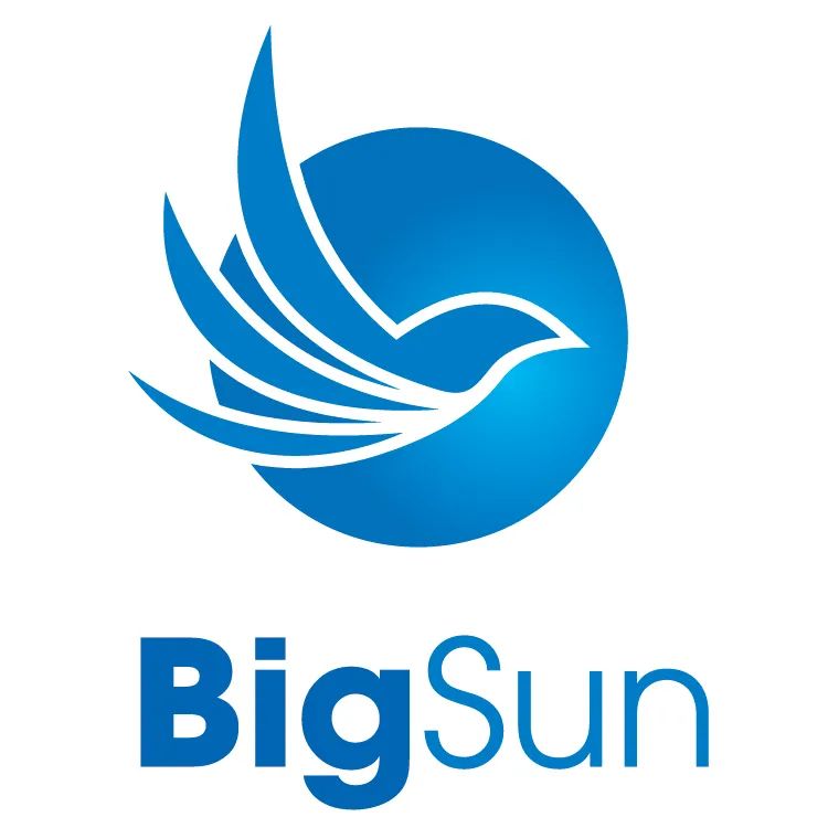 Công ty Cổ phần tư vấn và phát triển Quốc tế Bigsun