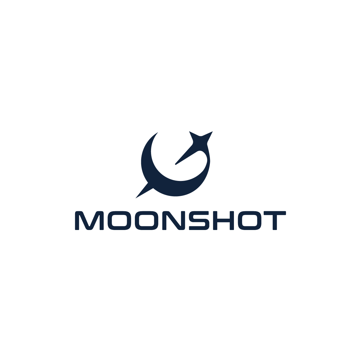 Moonshot