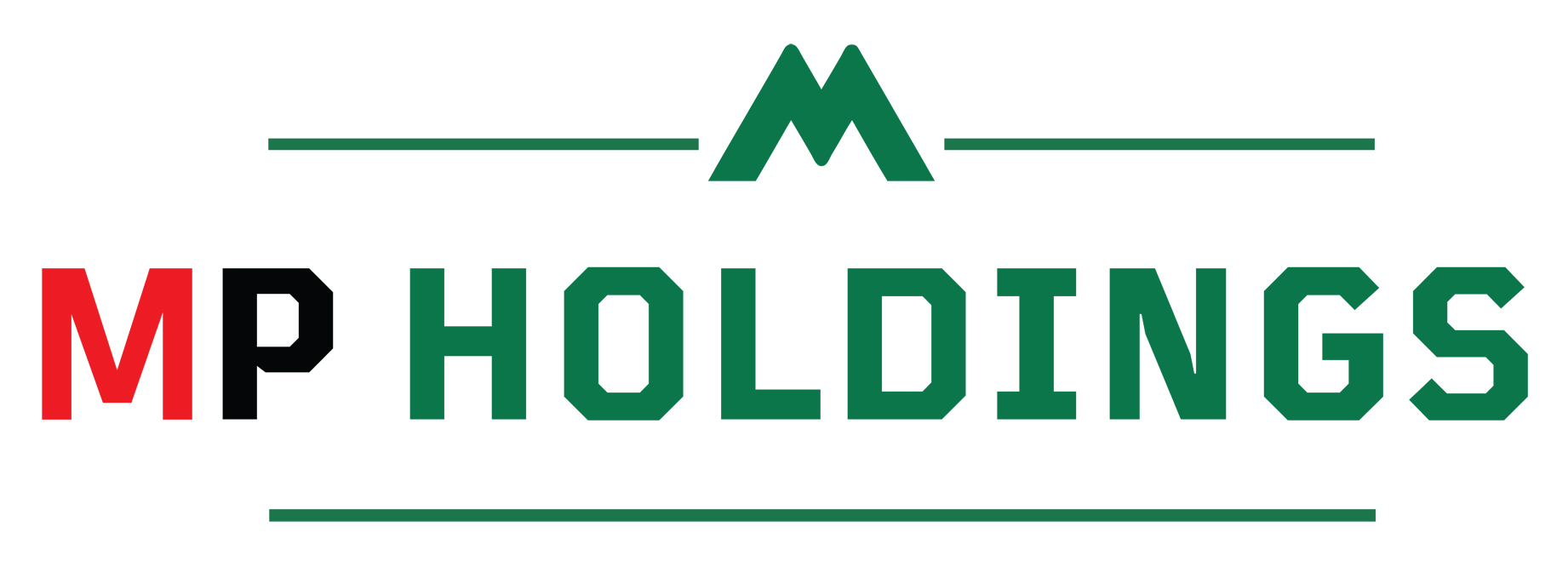 Công ty Cổ phần Tập đoàn MP-Holdings
