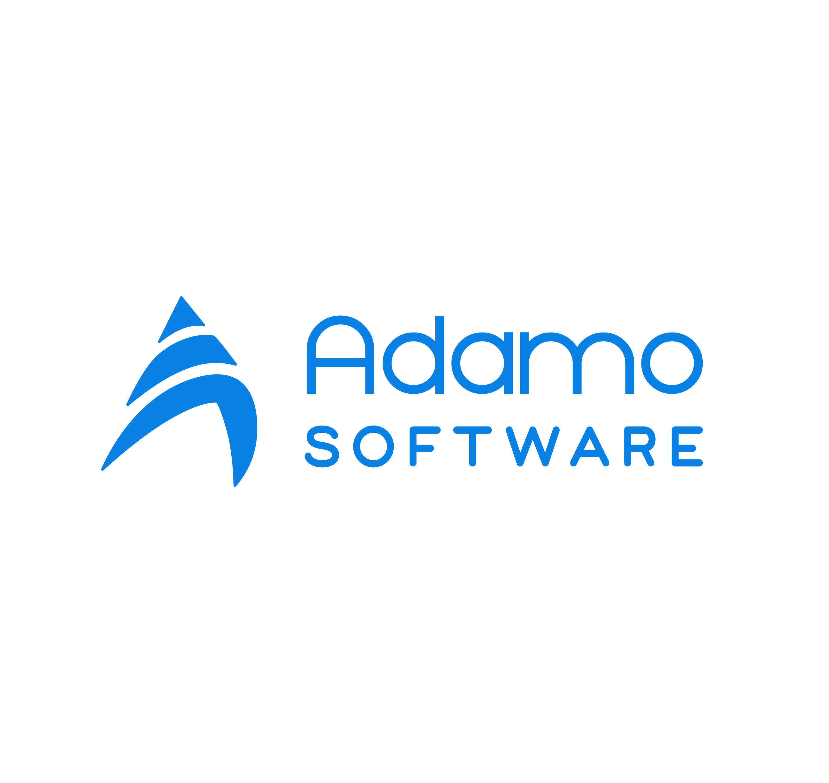 Công ty Cổ phần Adamo Software