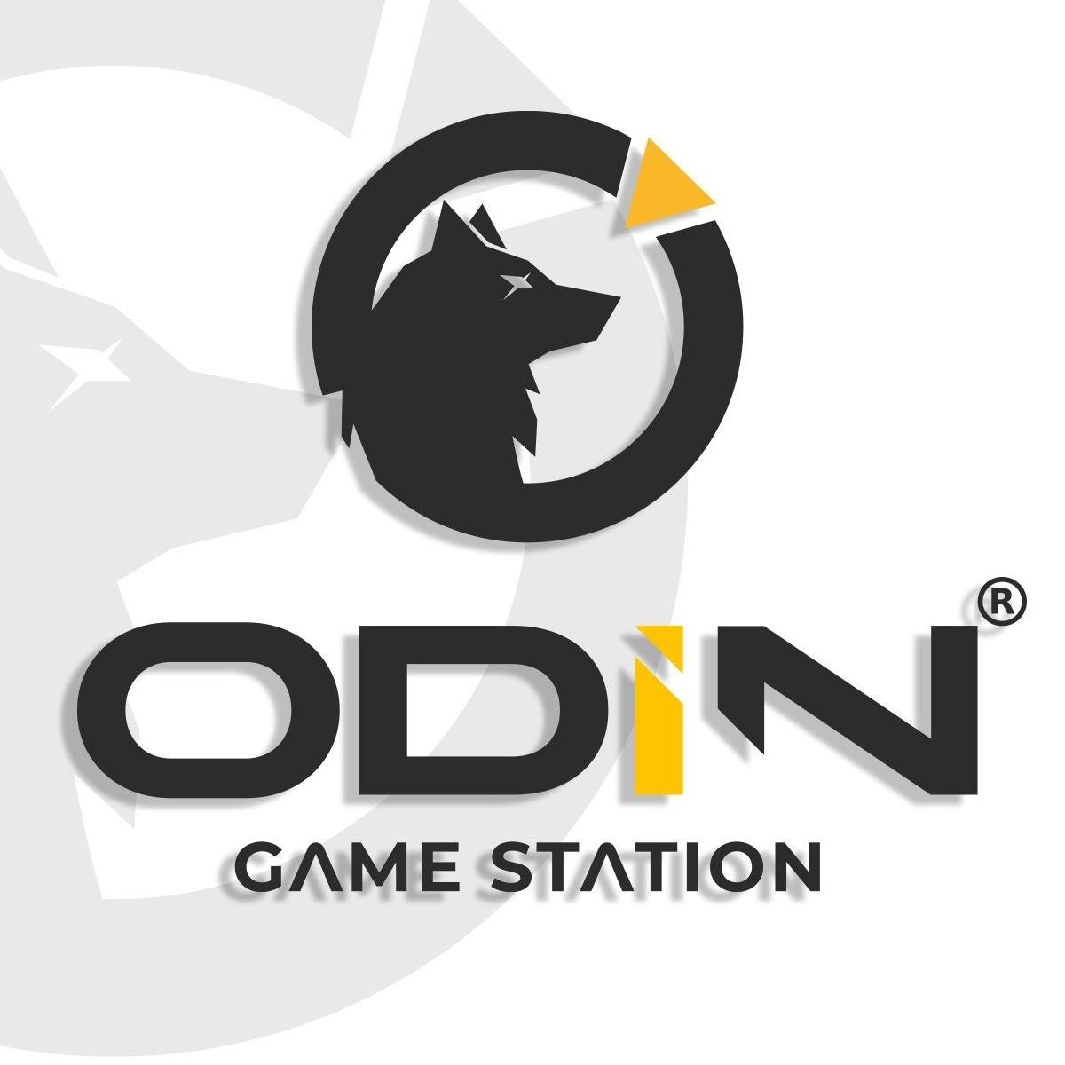 CÔNG TY TNHH THƯƠNG MẠI DỊCH VỤ ODIN GAME STATION