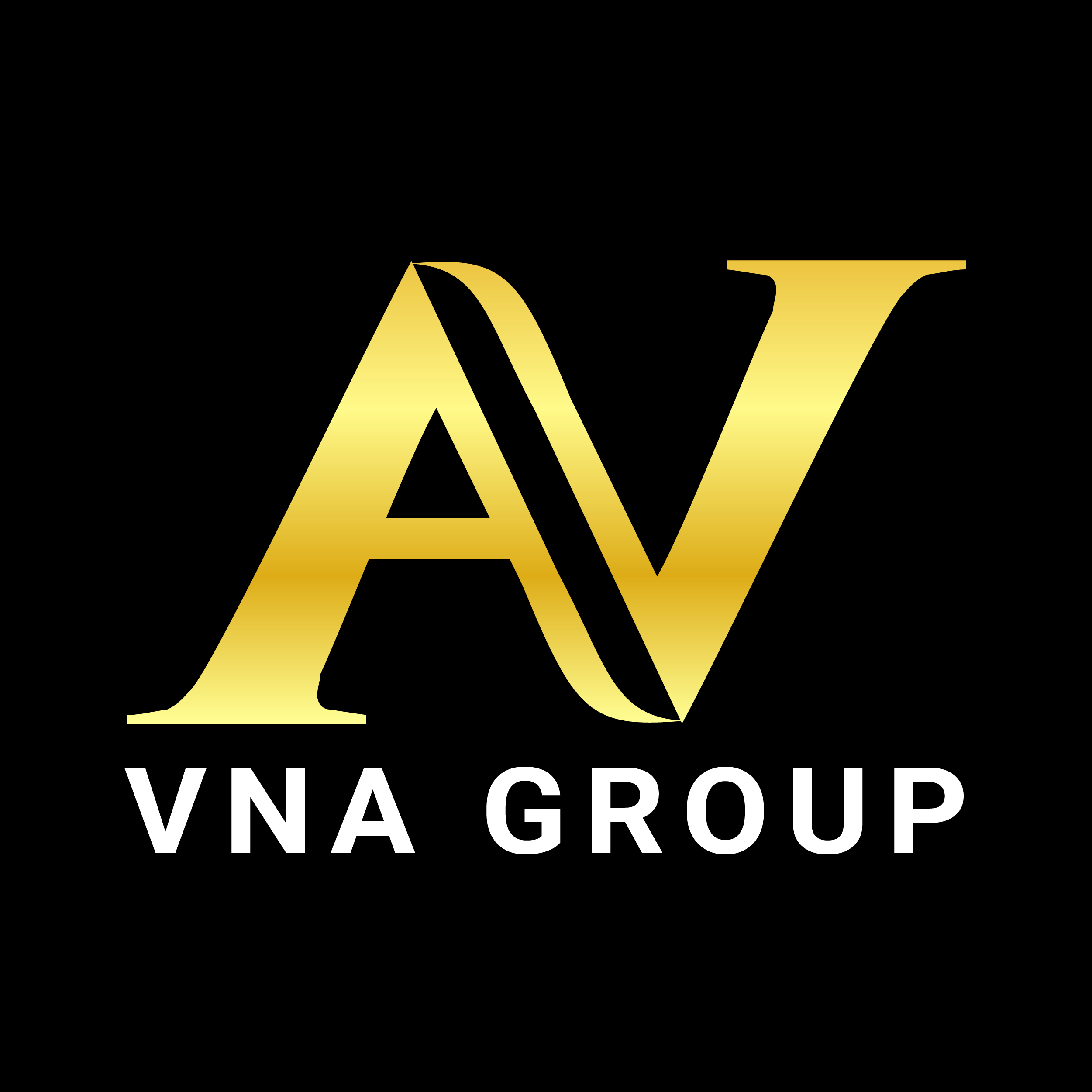 Công ty Cổ Phần Công Nghệ Quốc Tế VNA