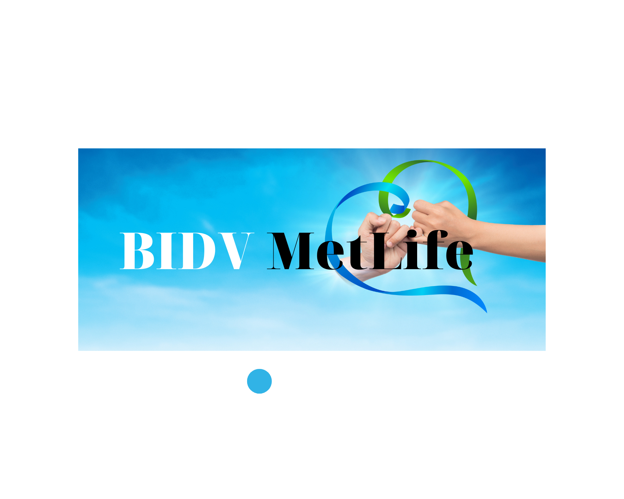 Công ty TNHH Bảo Hiểm Nhân Thọ BIDV MetLIfe