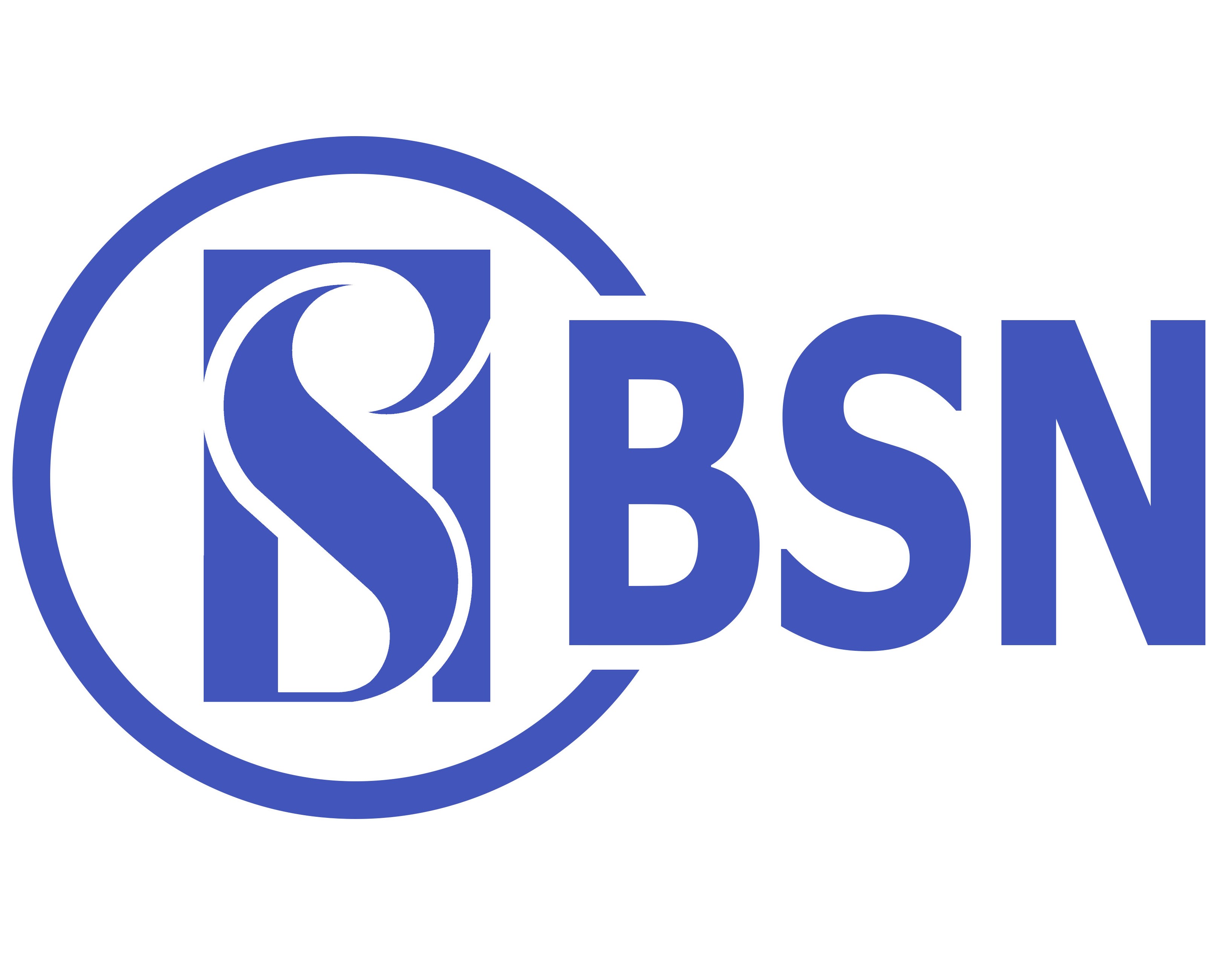 Công ty TNHH Giải pháp chiến lược BSN