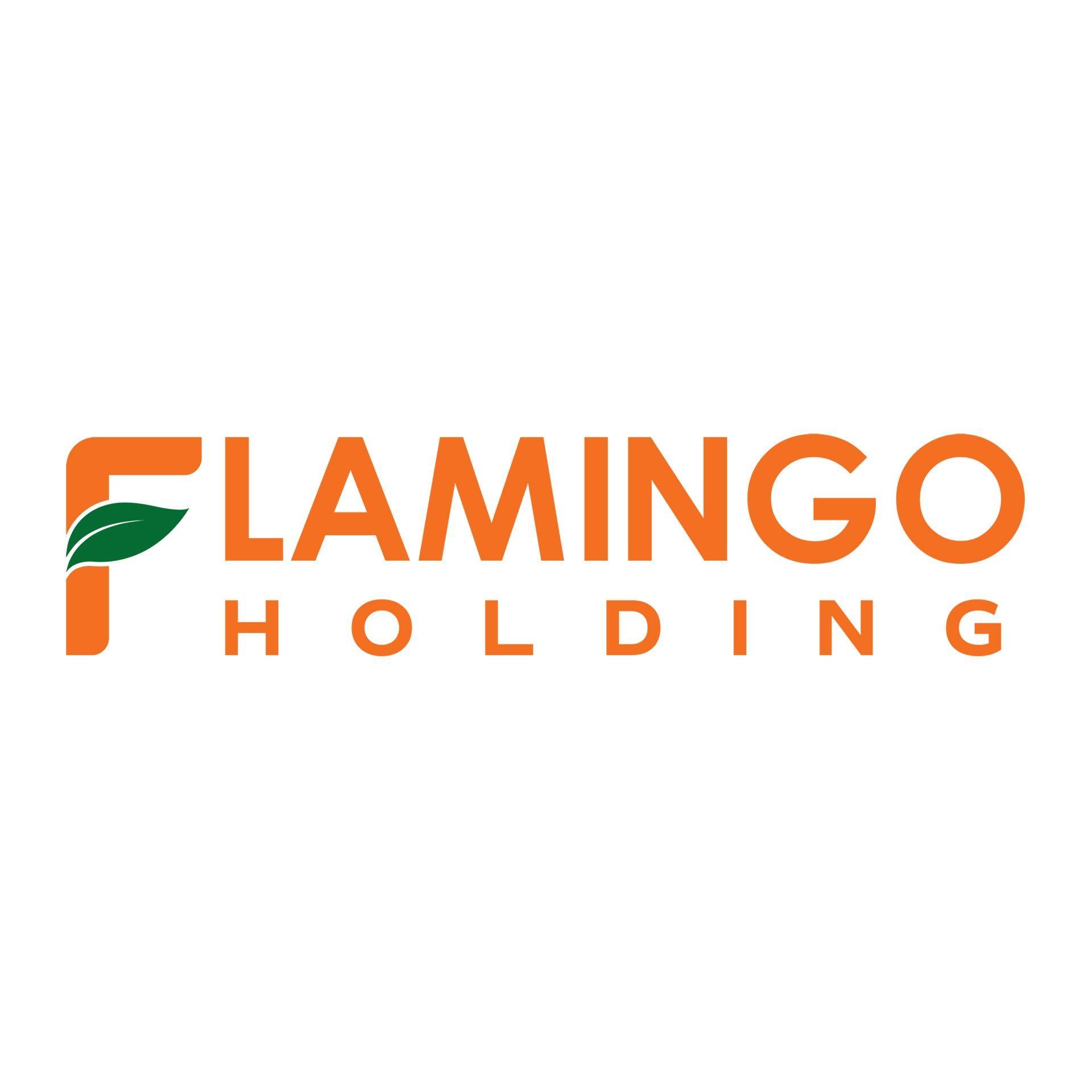 FLAMINGO HOLDING GROUP
