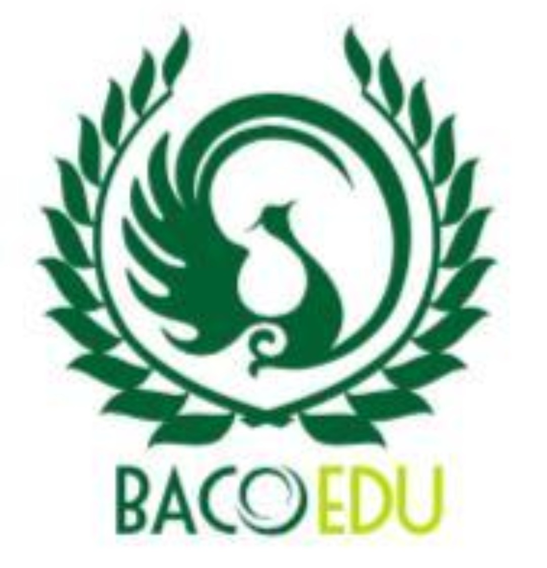 Công Ty TNHH BACO Việt Nam