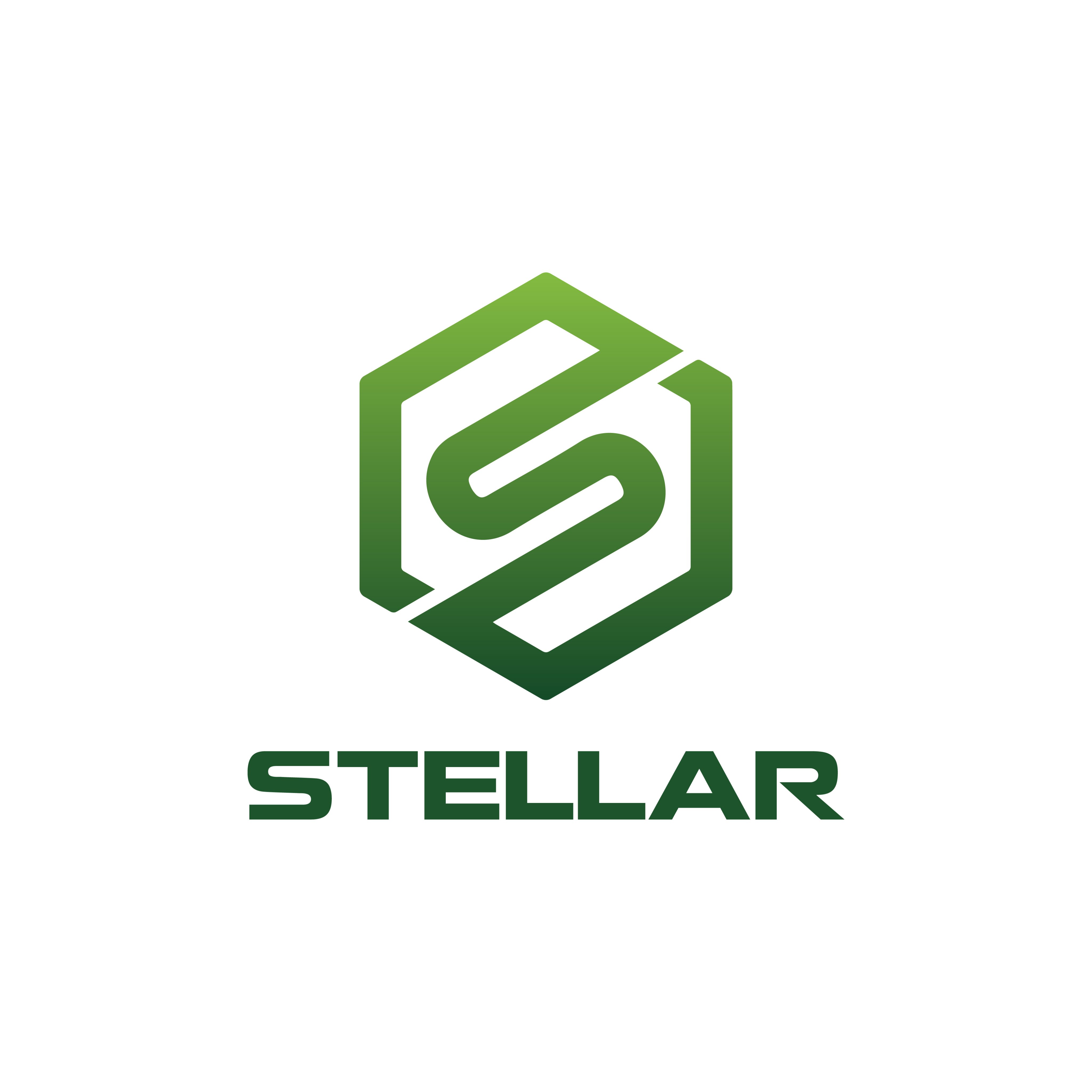 CÔNG TY CỔ PHẦN TẬP ĐOÀN STELLAR