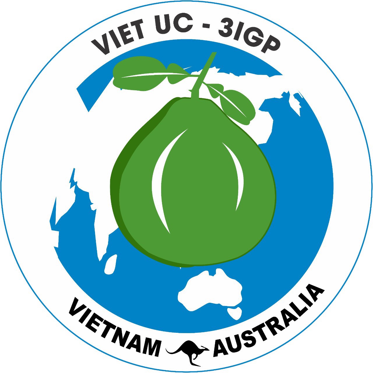 Công ty Cổ phần 3CC Inco Ge Pomelo 100