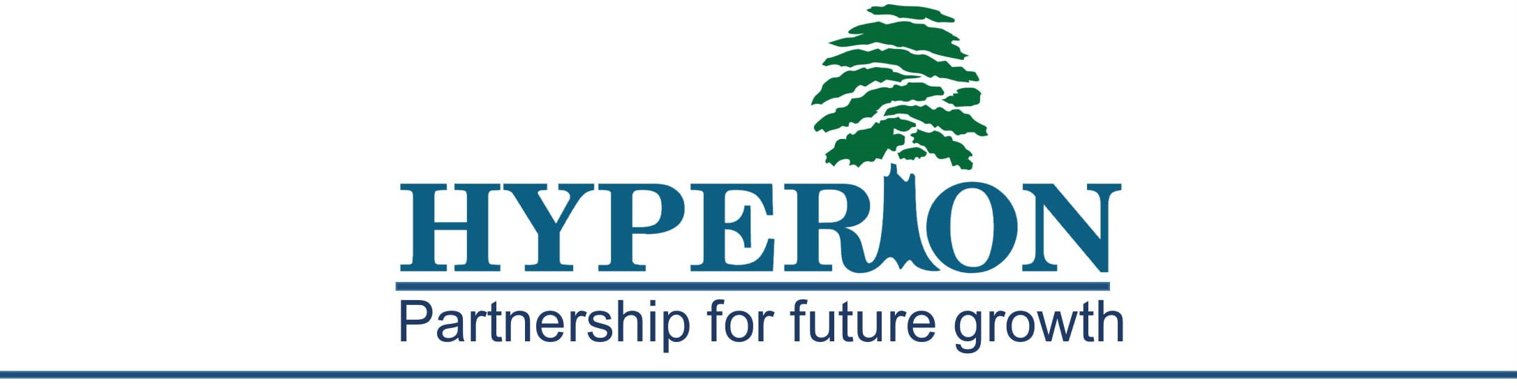Công ty TNHH Hyperion