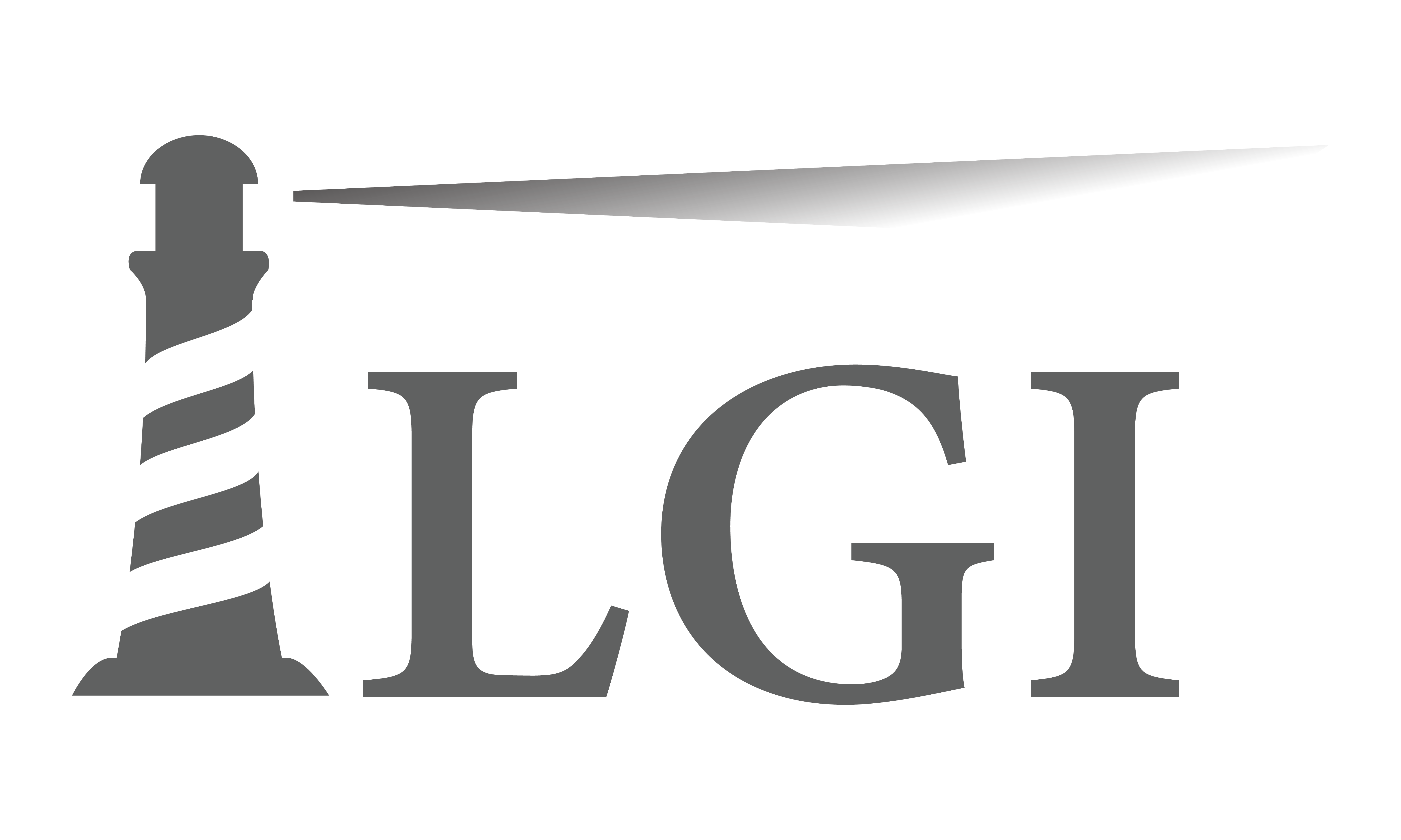 Công ty Cổ Phần LGI