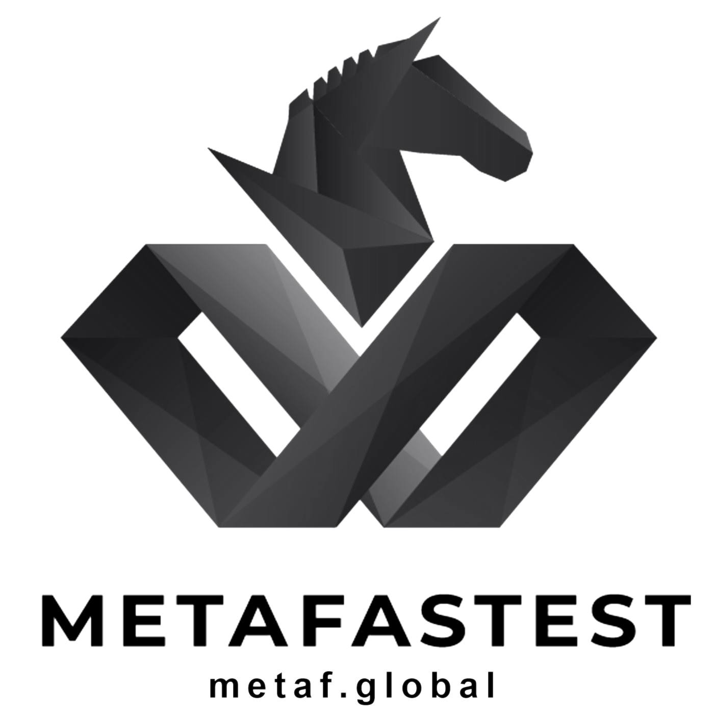 Công ty TNHH MetaF Group