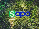 Công Ty Cổ Phần Công Nghệ Sapo - TOPCV