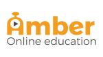 Công ty Cổ phần Giáo dục Amber Academy