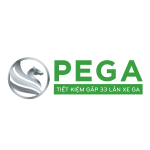 CÔNG TY CỔ PHẦN XE ĐIỆN PEGA LTT