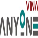 CÔNG TY TNHH ANYONE VINA