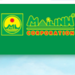 CÔNG TY TNHH MAI LINH ĐÀ LẠT
