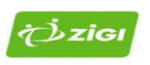 Công ty TNHH ZIGI VINA - TOPCV