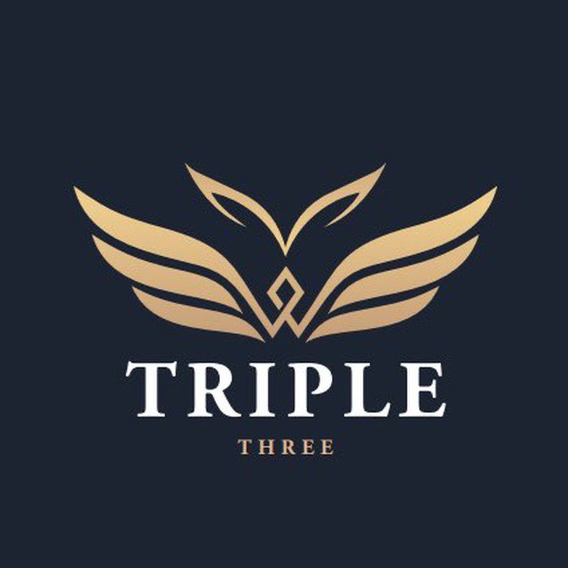 Triple Three Group - Wanfang Technology Management Inc