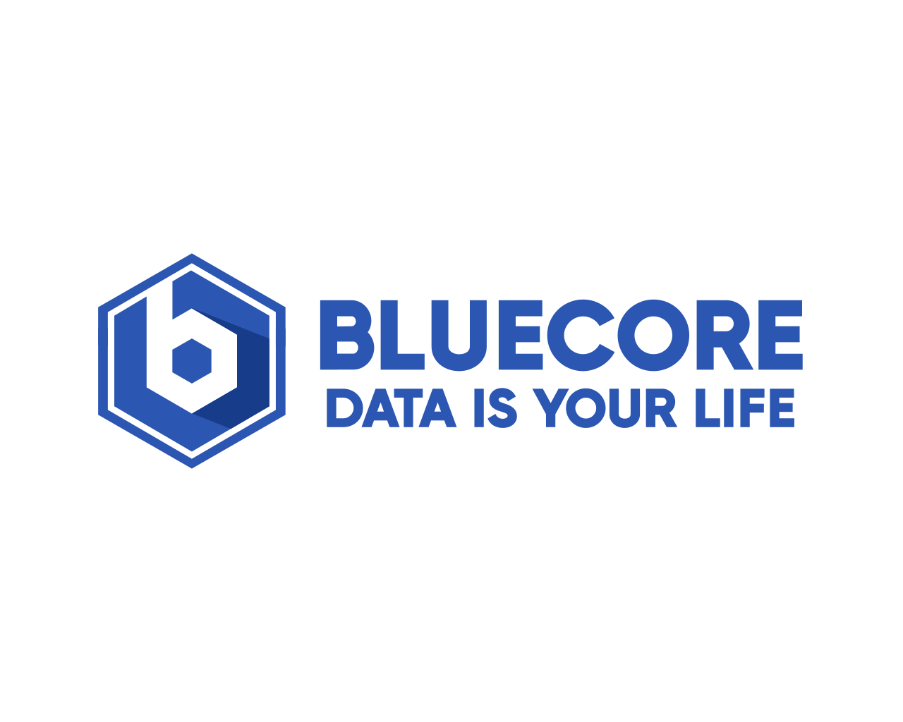 Bluecore - TOPCV