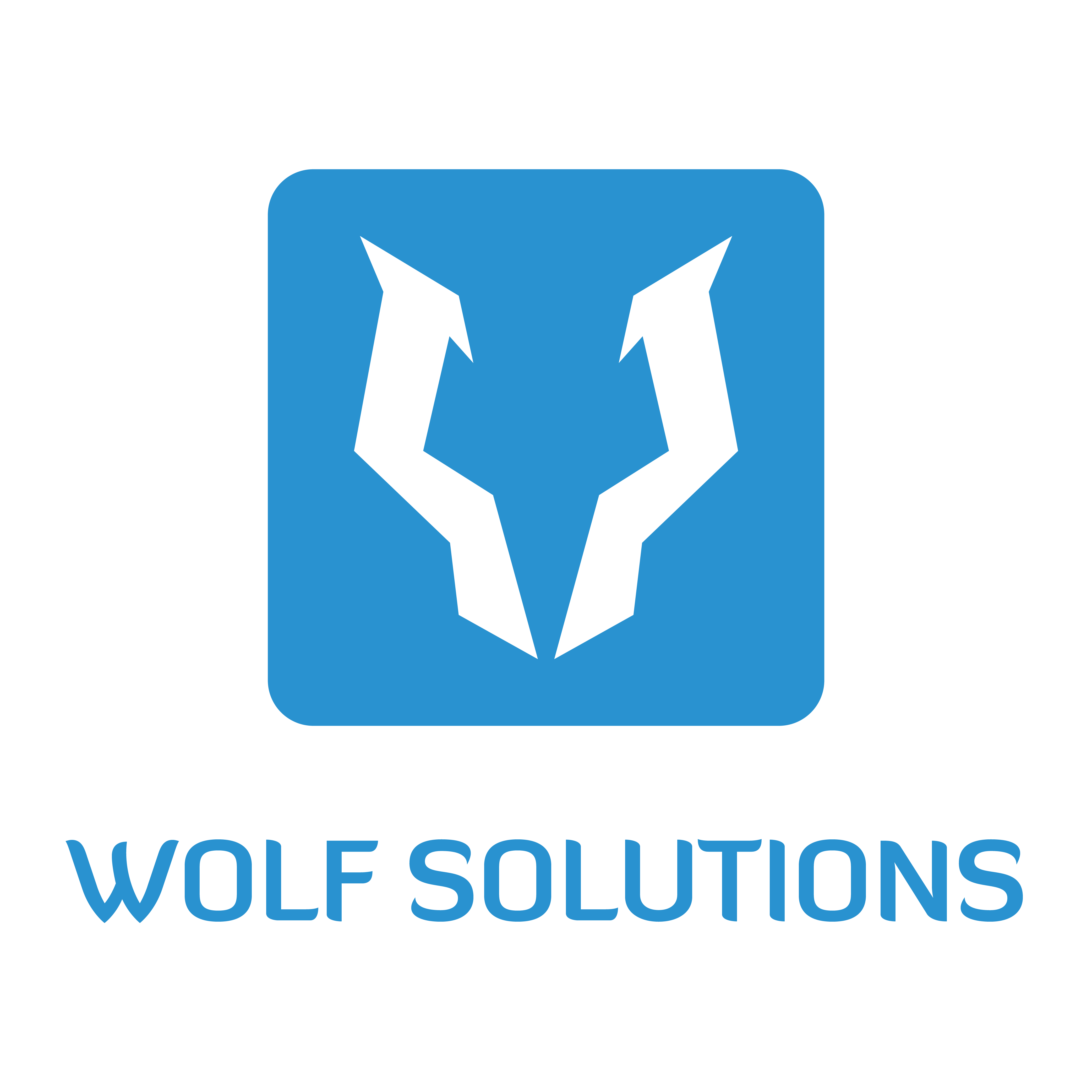Công ty Cổ Phần Wolf Solutions
