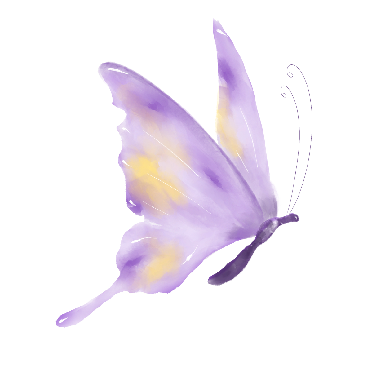 CÔNG TY TNHH VIETNAM CONCENTRIX SERVICES - TOPCV