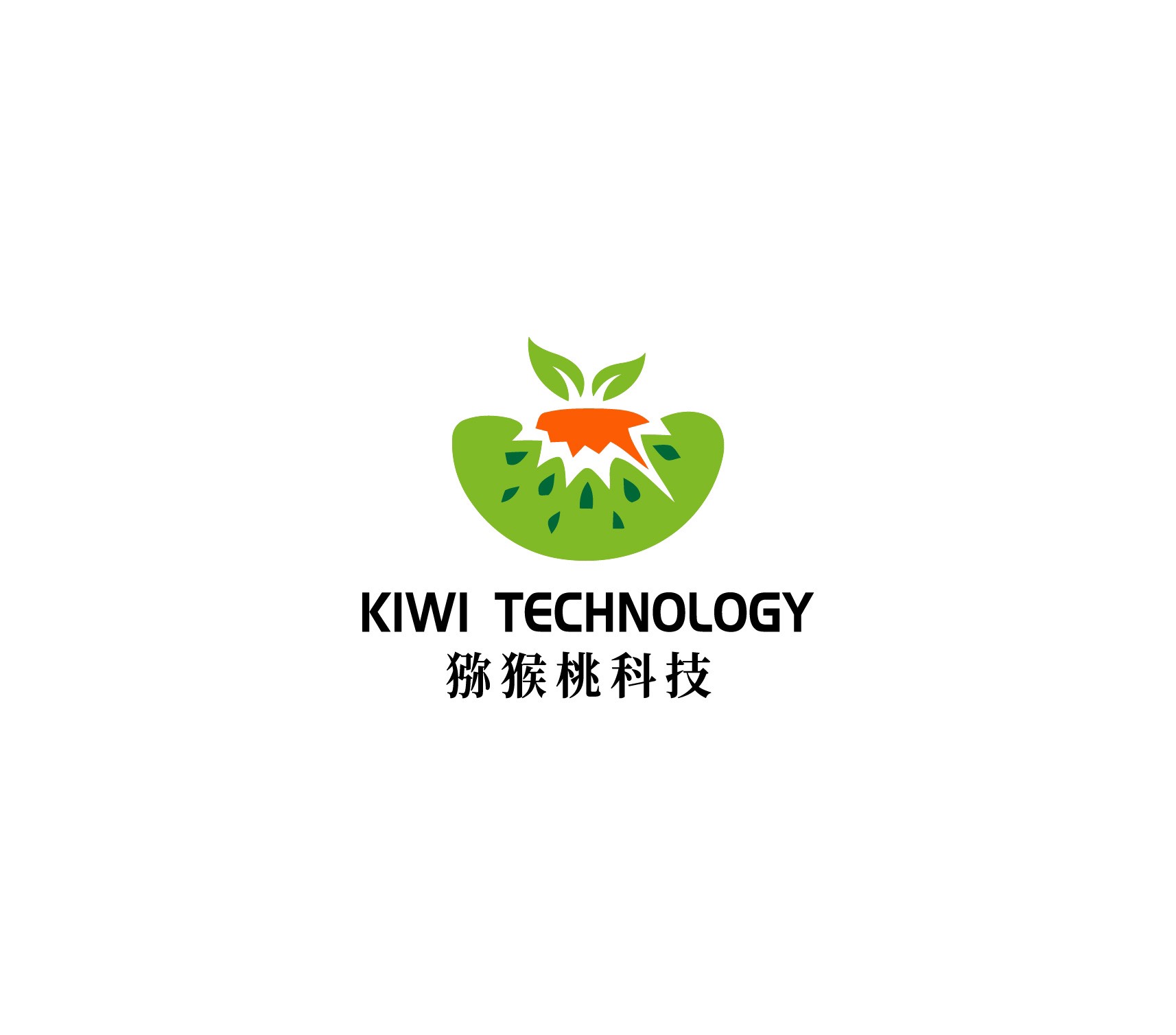 KIWI TECHNOLOGY COMPANY LIMITED