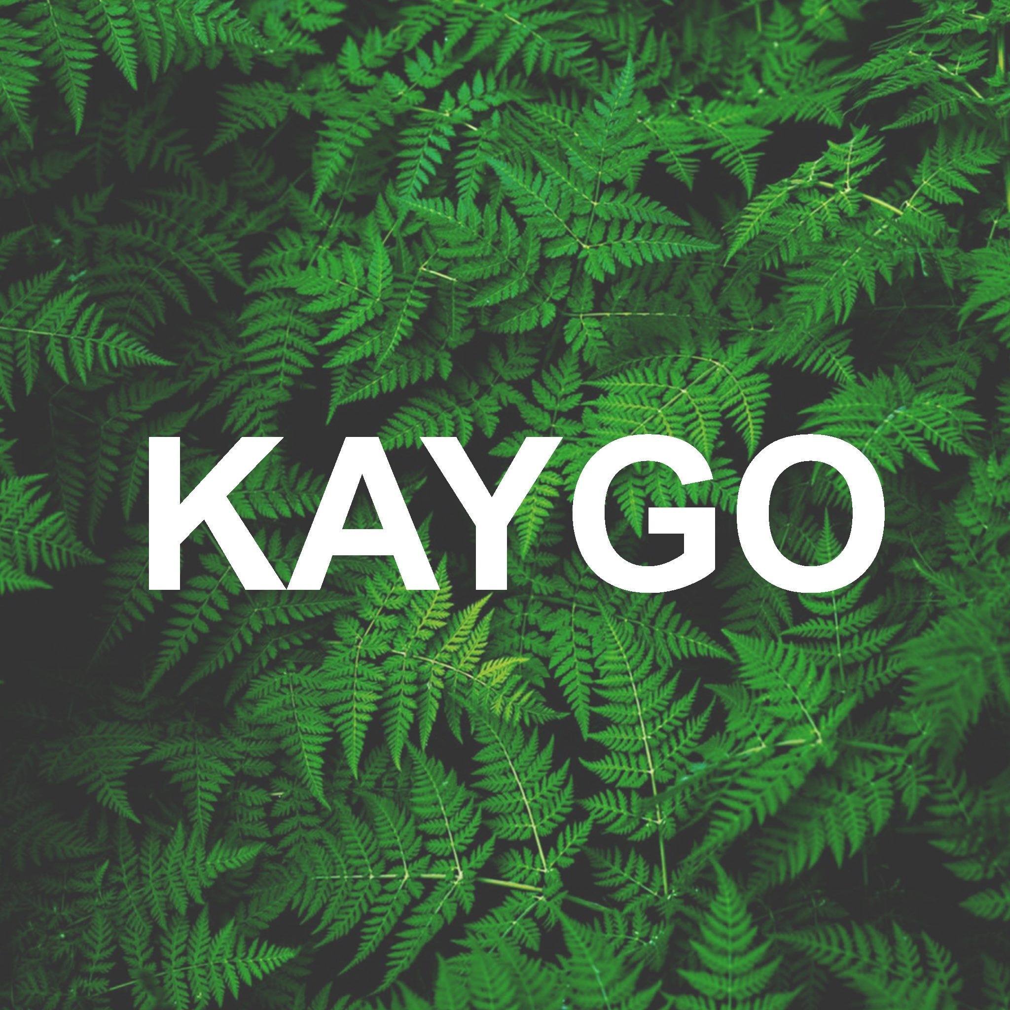 Công ty Cổ phần KAYGO