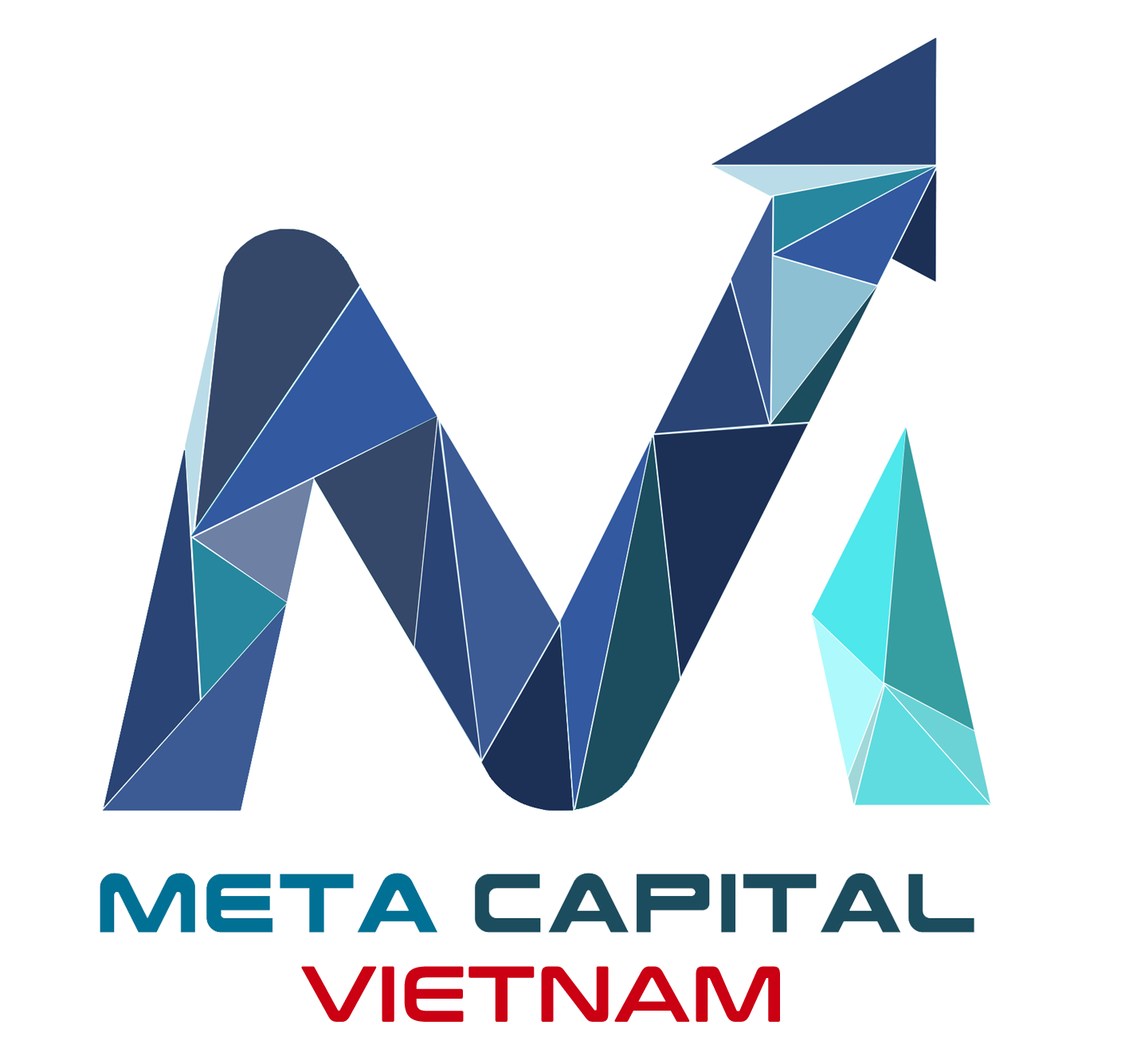 META GLOBAL