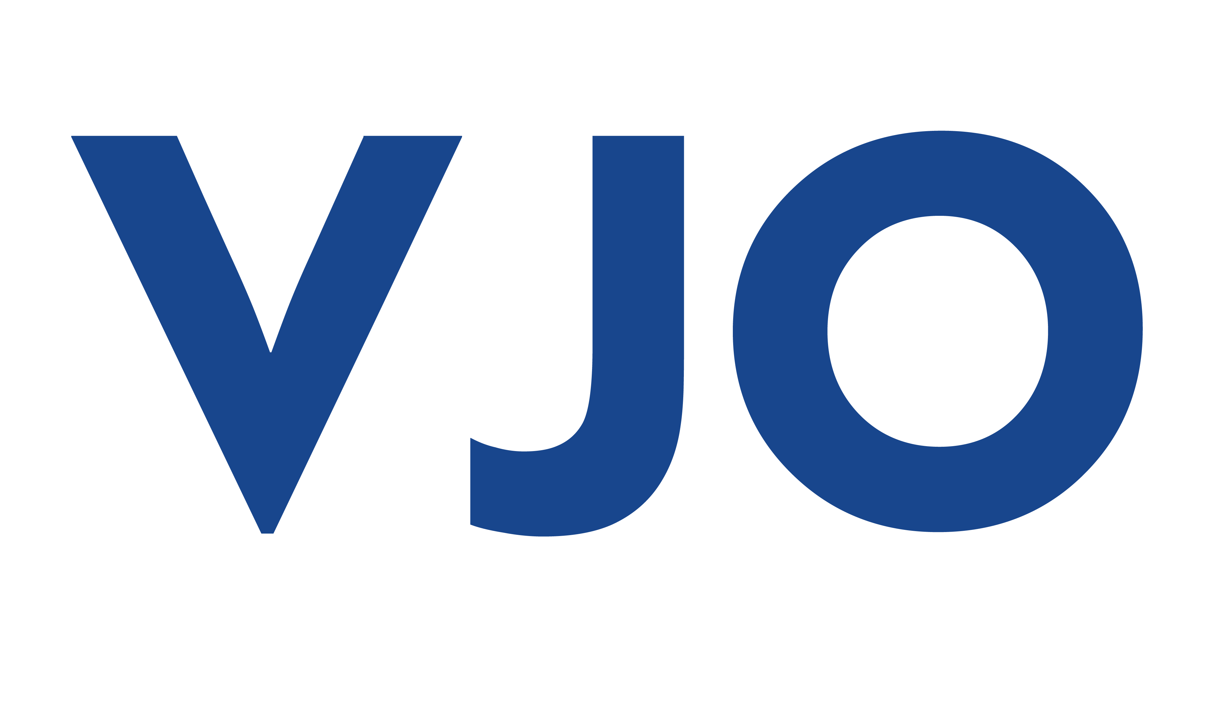 Công Ty Cổ Phần Thương Mại VJO Việt Nam