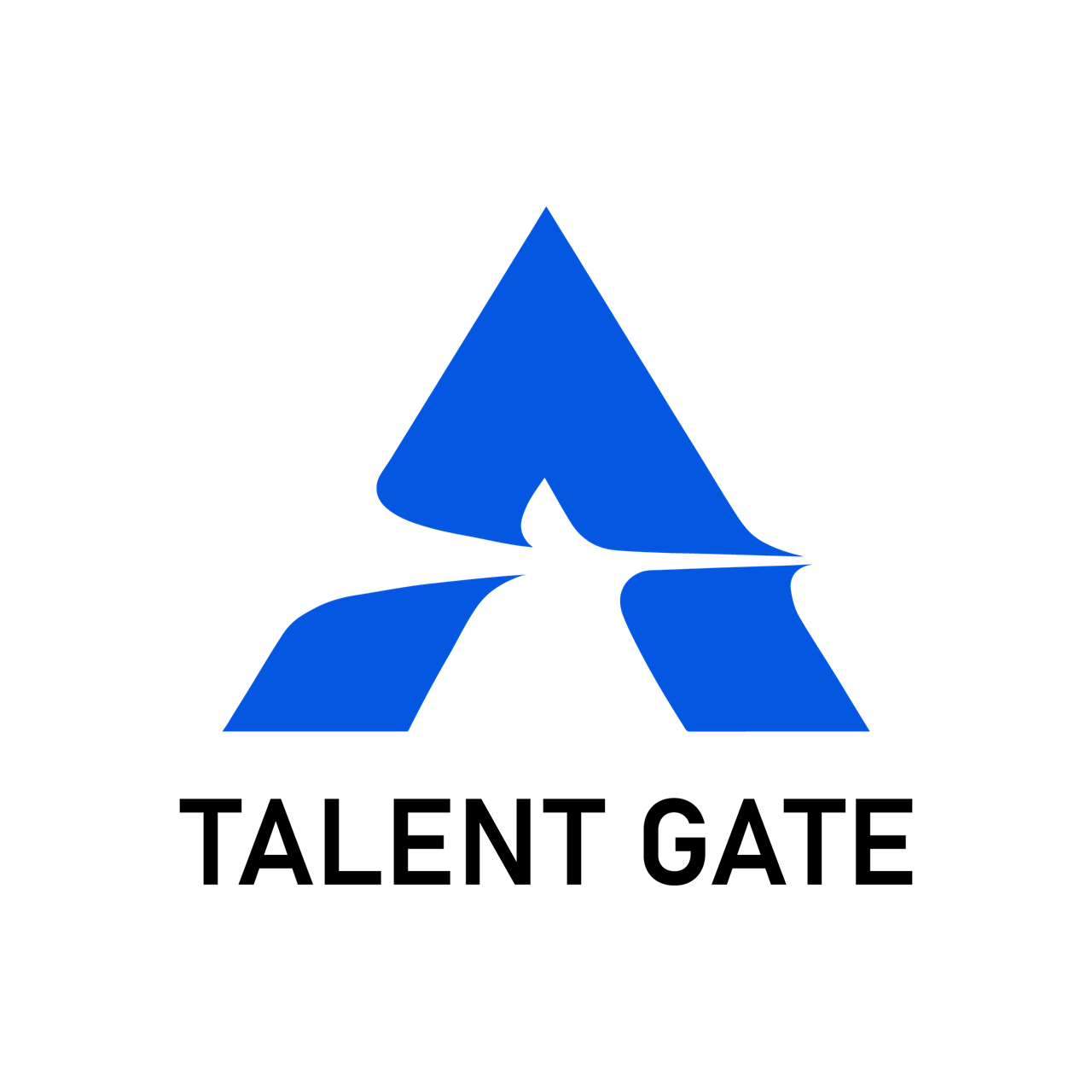 CÔNG TY CỔ PHẦN CỔNG TÀI NĂNG