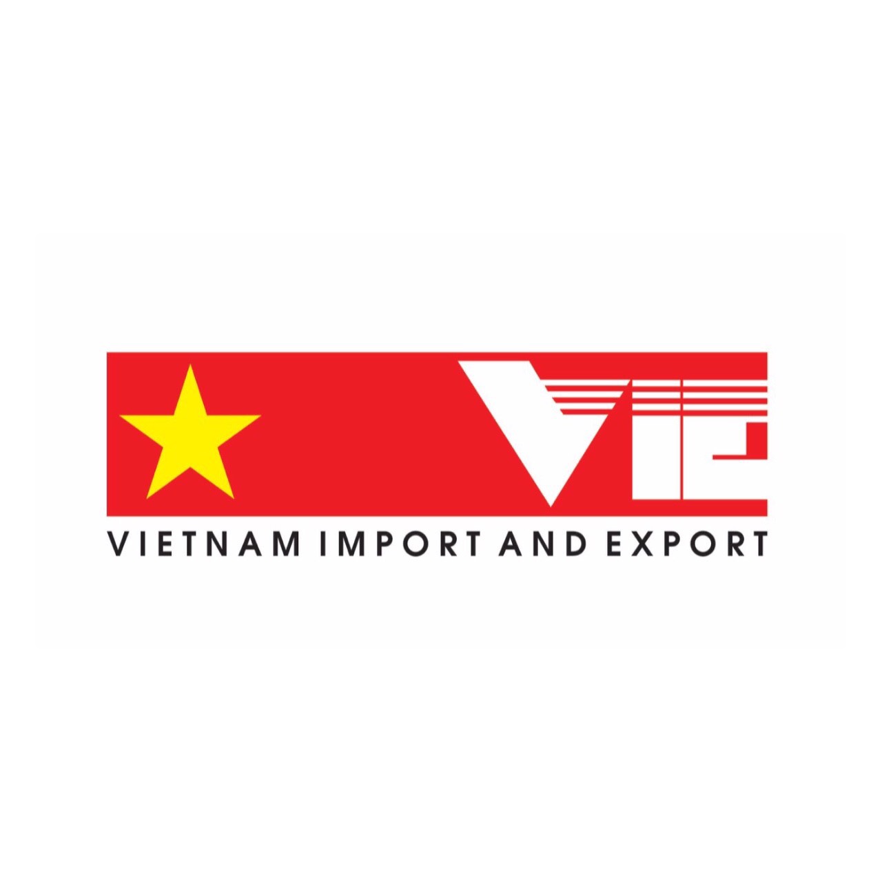 CÔNG TY CỔ PHẦN TẬP ĐOÀN XNK VIỆT NAM