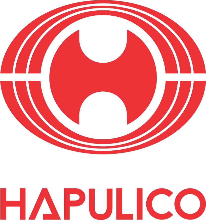 Công ty TNHH MTV Chiếu sáng và thiết bị đô thị (Hapulico)