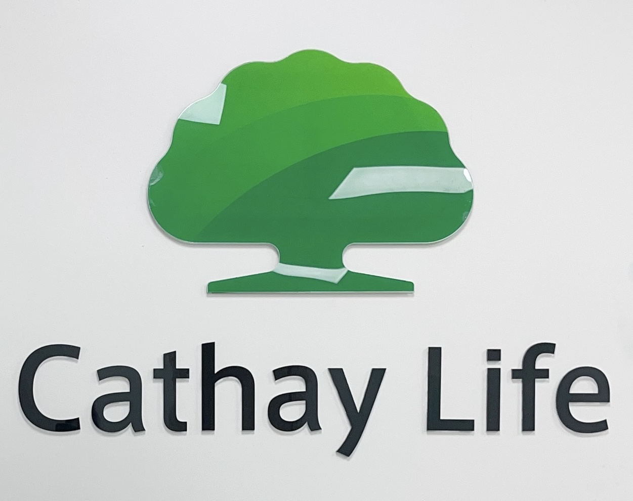 Công ty Bảo Hiểm Cathay Life Việt Nam